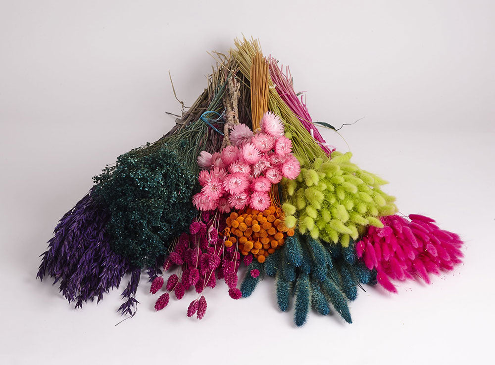 Colours of Flowers: Meanings, Symbolism, and the Psychology Behind Them ...