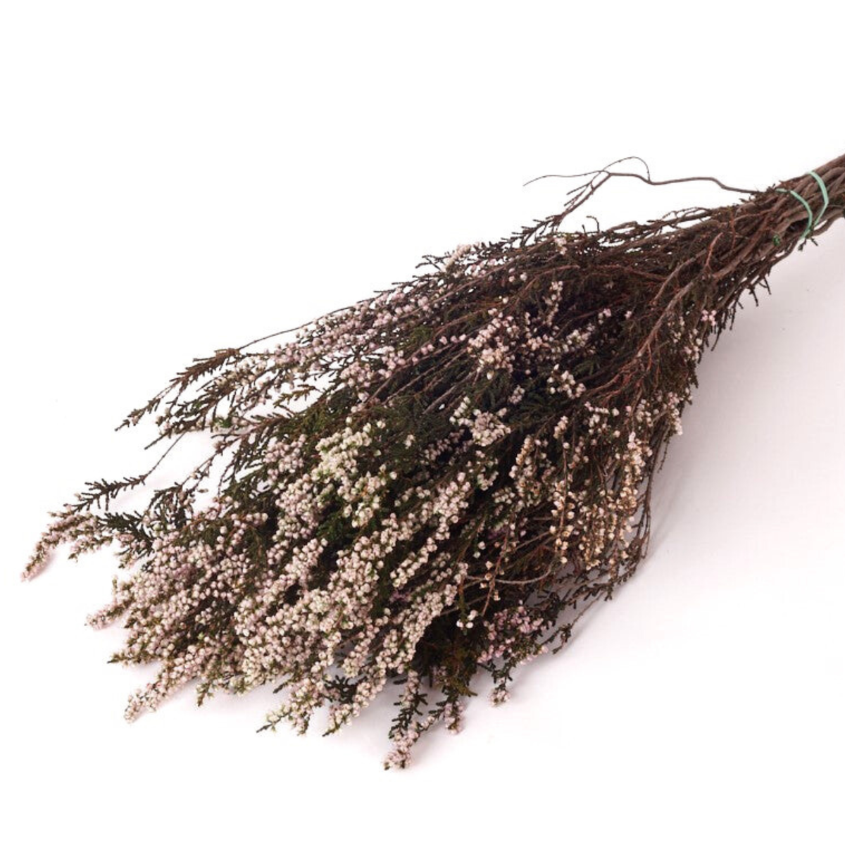 All Preserved Flowers – Atlas Flowers
