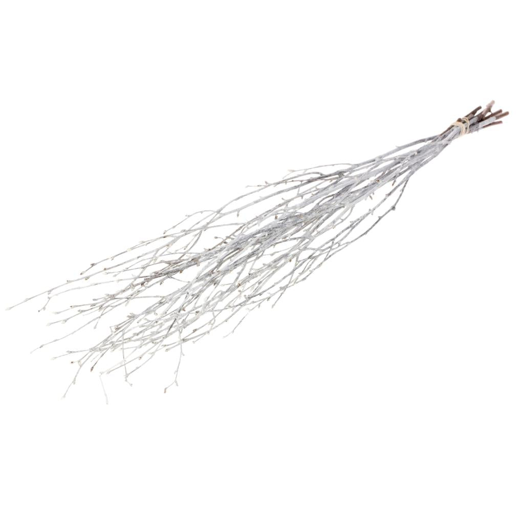 Pre Order Birch 60cm white misty, box x 50 – Atlas Flowers