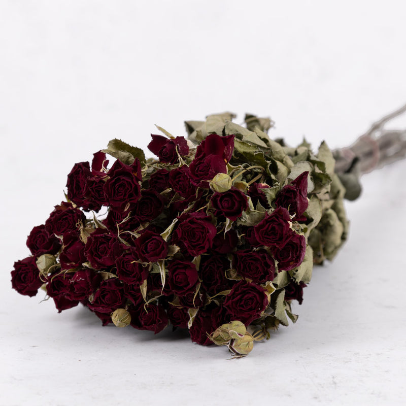 Dried Spray Roses – Atlas Flowers