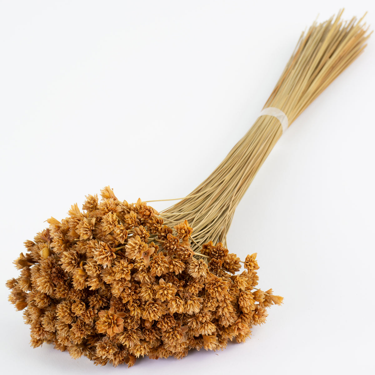 Tres Quinas, Natural, 100g – Atlas Flowers