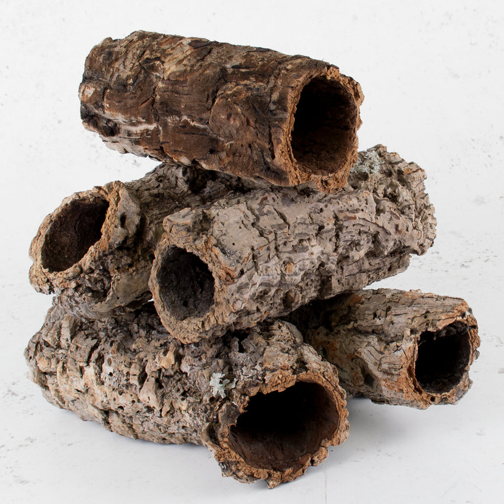 Casca Oca, Hollow Cork Piece, Natural, 20cm, Bag x 5 – Atlas Flowers