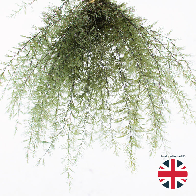 Preserved Fillers & Foliages – Atlas Flowers