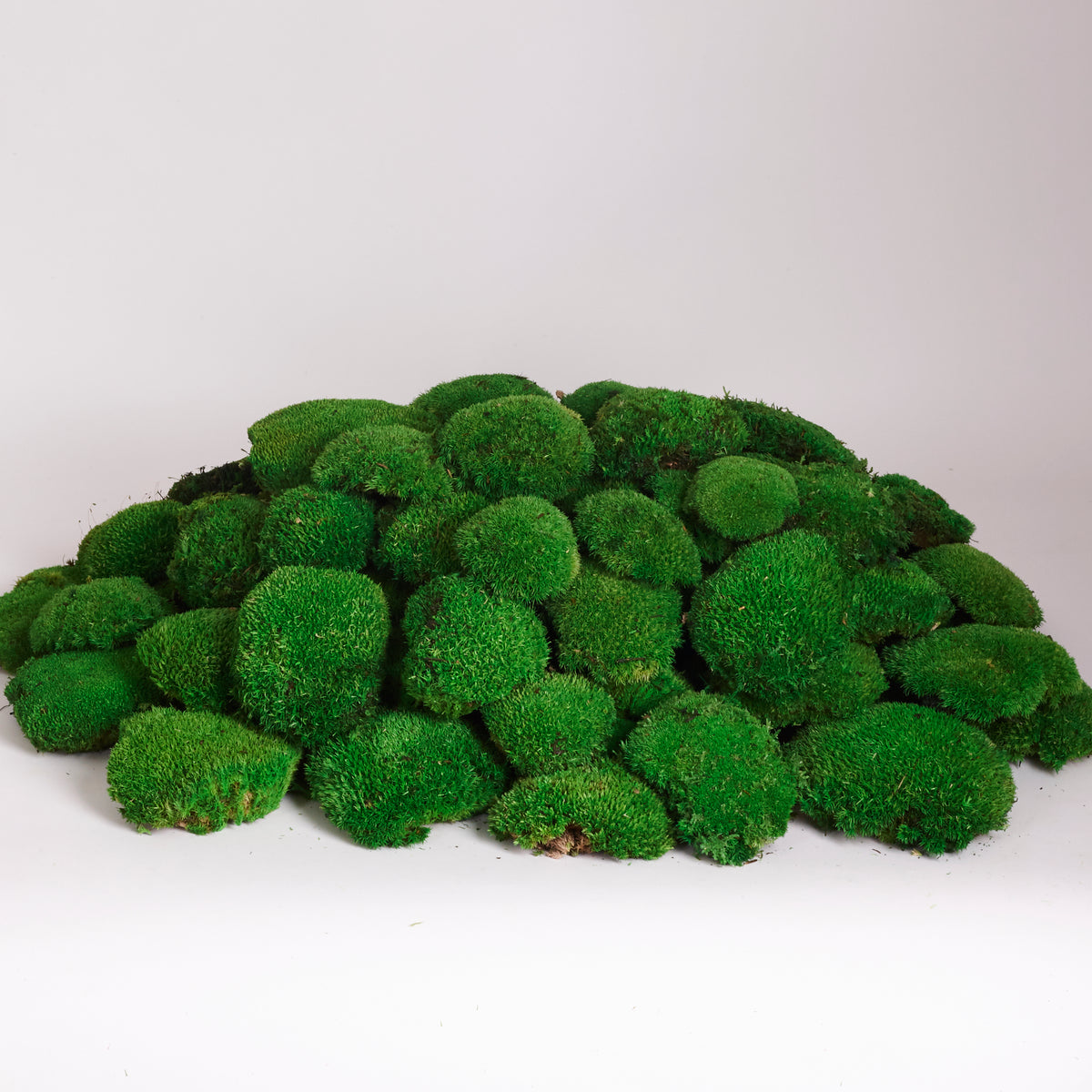 Ball Moss (Pole Moss), Preserved, Green, 2.5kg Box – Atlas Flowers