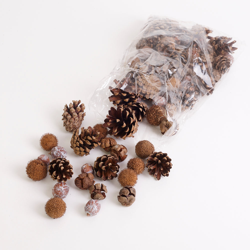 Mixed Cones, Natural and Dried, Bag x 400g – Atlas Flowers
