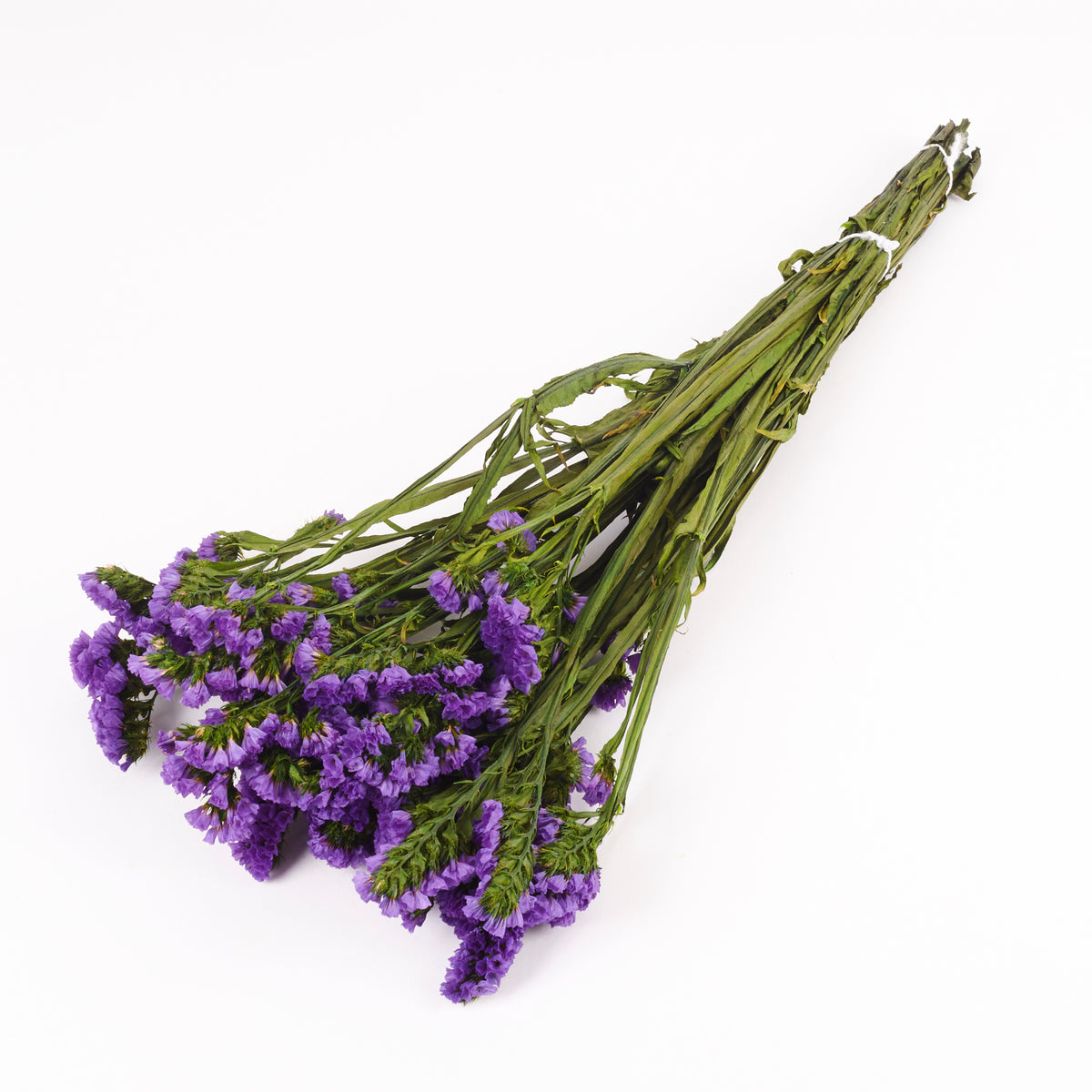 Statice Sinuata, Preserved, Bright Lilac – Atlas Flowers