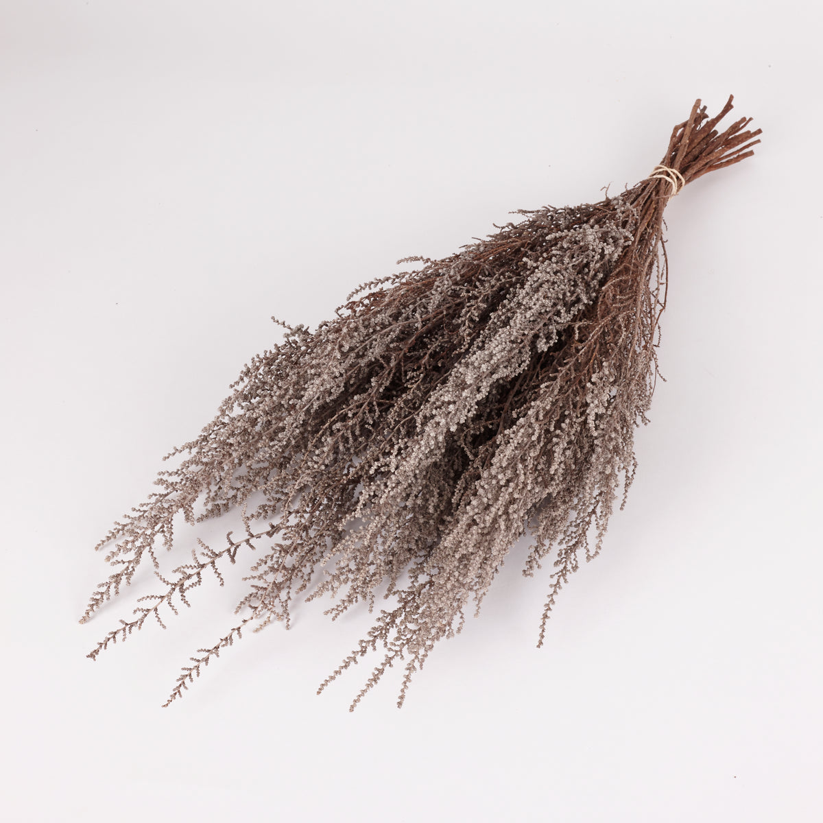 Stoebe, Preserved, Grey, Bunch – Atlas Flowers