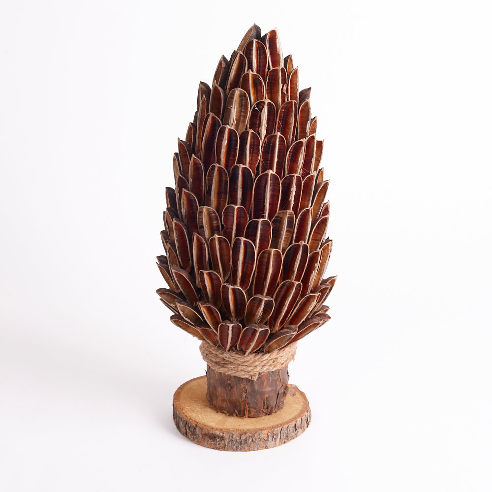 Cone Torch, Wood Base, Natural and Dried, 17 x 41cm – Atlas Flowers