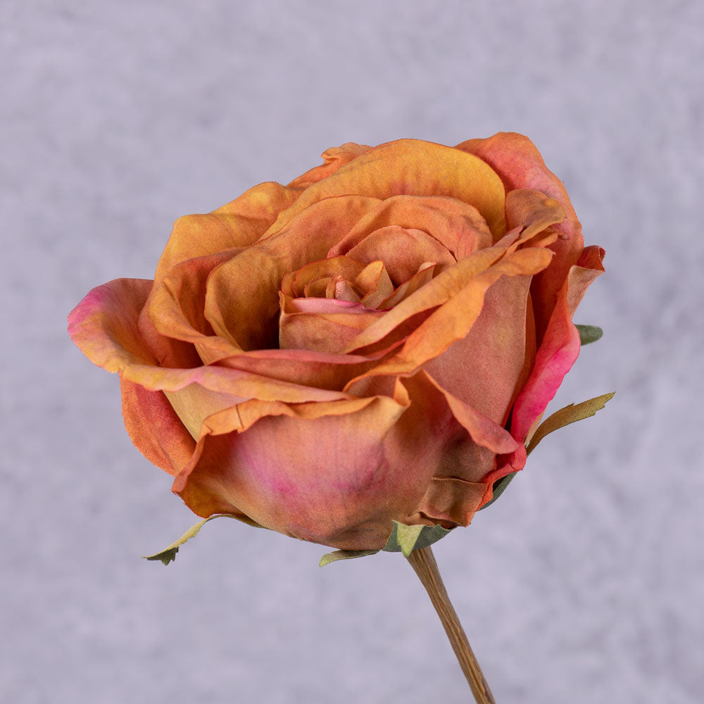 Rose Calista, Artificial, Burnt Orange, 66cm – Atlas Flowers